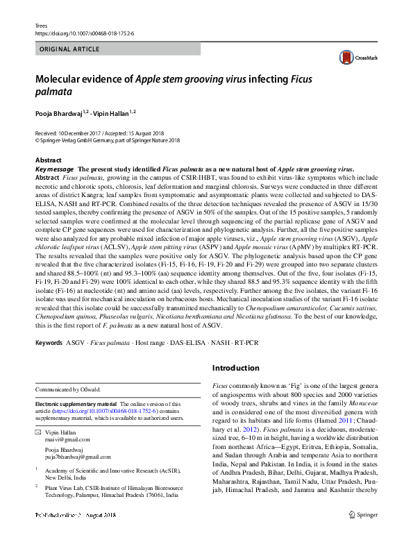 (PDF) Molecular evidence of Apple stem grooving virus infecting Ficus ...