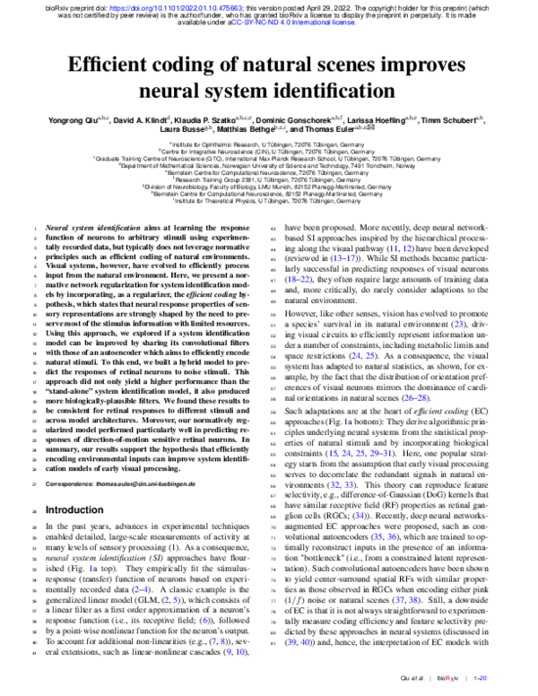 Pdf Efficient Coding Of Natural Scenes Improves Neural System