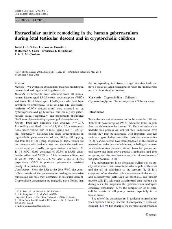 (PDF) Gubernaculum ECM Remodeling in Fetal and Cryptorchidism