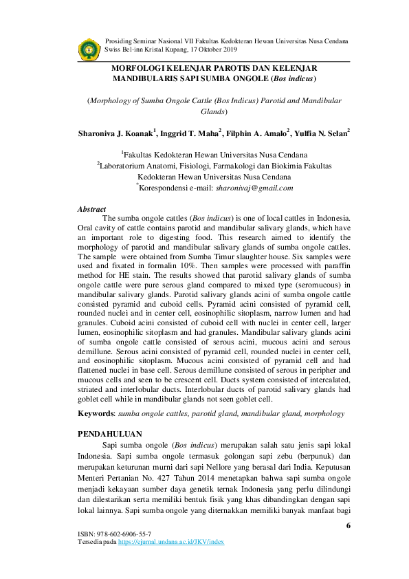 (PDF) MORFOLOGI KELENJAR PAROTIS DAN KELENJAR MANDIBULARIS SAPI SUMBA ...