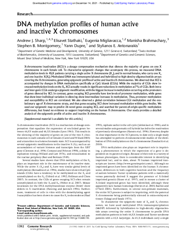 (PDF) DNA methylation profiles of human active and inactive X chromosomes
