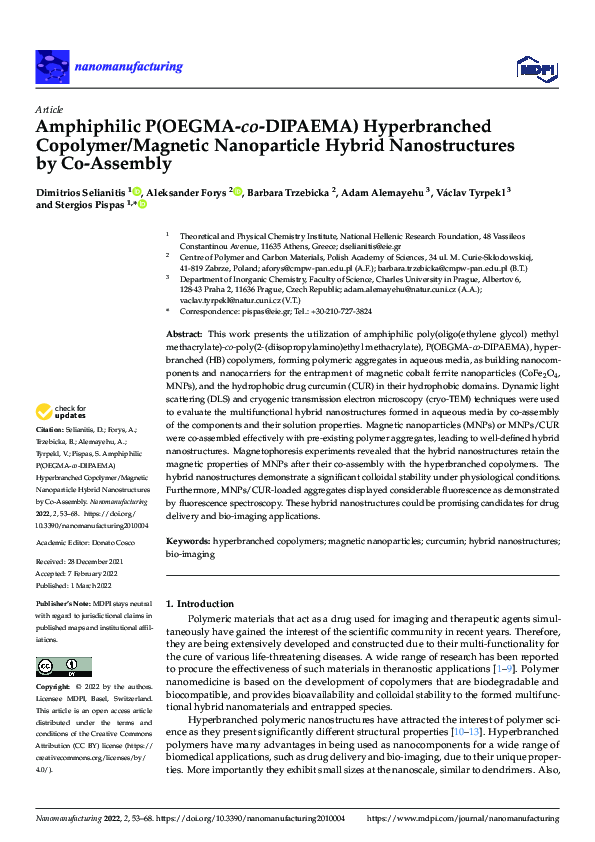 Amphiphilic P(OEGMA-co-DIPAEMA) Hyperbranched Copolymer/Magnetic Nanoparticle Hybrid ...