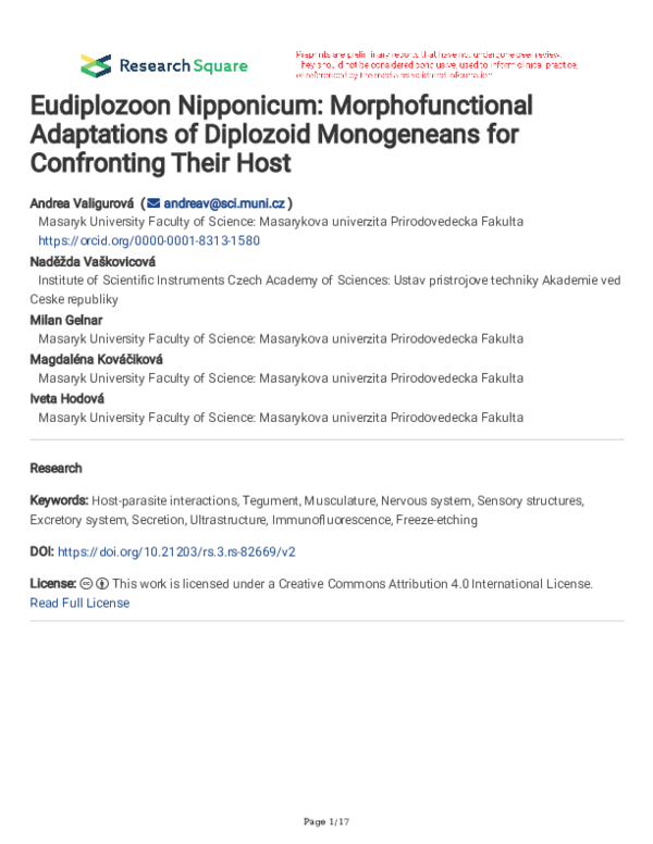 (PDF) Eudiplozoon Nipponicum: Morphofunctional Adaptations of Diplozoid ...