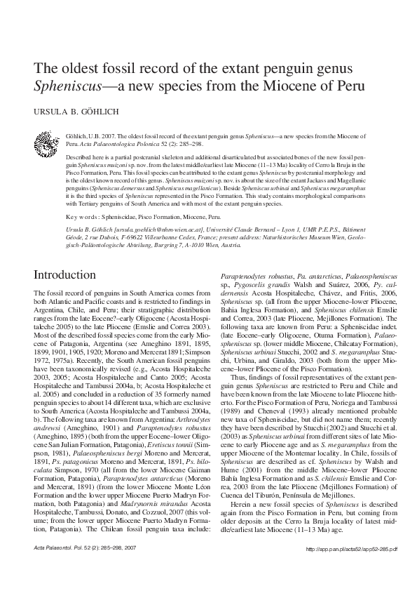 Pdf The Oldest Fossil Record Of The Extant Penguin Genus Spheniscus—a