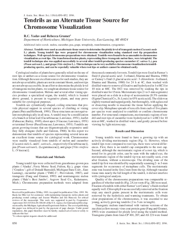 (PDF) Tendrils as an Alternate Tissue Source for Chromosome Visualization