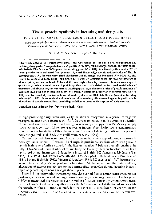 (PDF) Tissue protein synthesis in lactating and dry goats