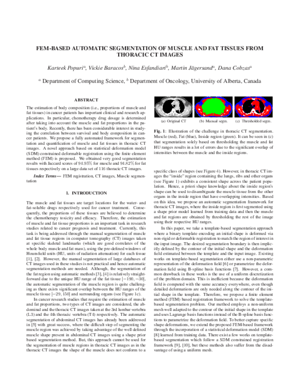 Pdf Fem Based Automatic Segmentation Of Muscle And Fat Tissues From Thoracic Ct Images