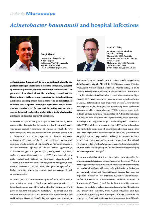 (PDF) Acinetobacter baumannii and hospital infections