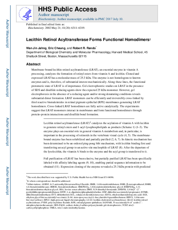 (PDF) Lecithin Retinol Acyltransferase Forms Functional Homodimers