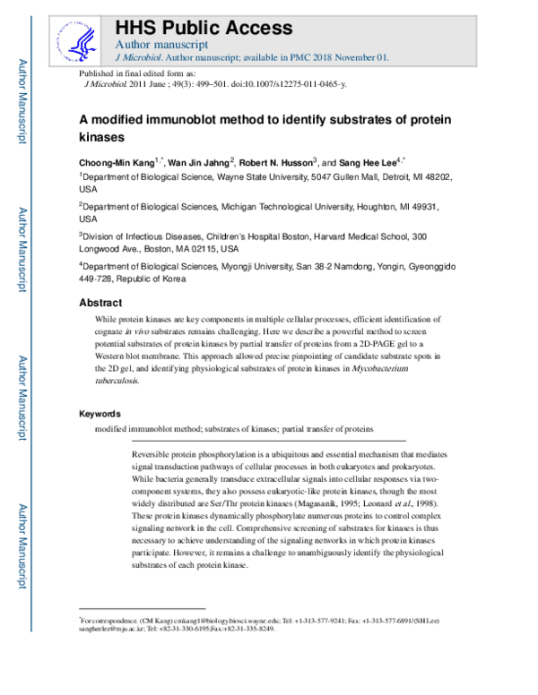 (PDF) A modified immunoblot method to identify substrates of protein ...