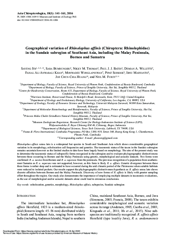 (PDF) Geographical Variation ofRhinolophus affinis(Chiroptera ...