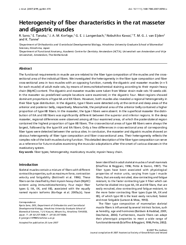 (PDF) Heterogeneity of fiber characteristics in the rat masseter and ...