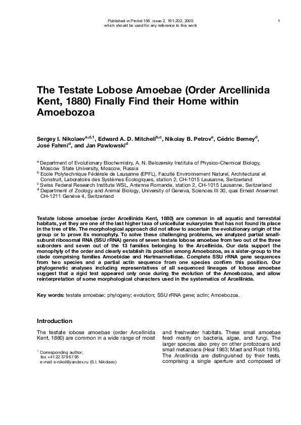 (PDF) The Testate Lobose Amoebae (Order Arcellinida Kent, 1880) Finally ...