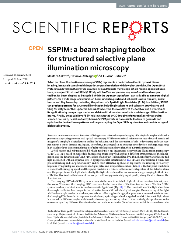 (PDF) SSPIM: a beam shaping toolbox for structured selective plane illumination microscopy