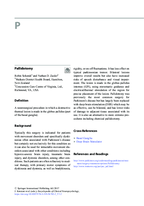 (PDF) Pallidotomy