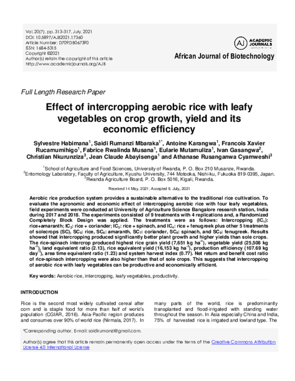 (PDF) Effect of intercropping aerobic rice with leafy vegetables on ...