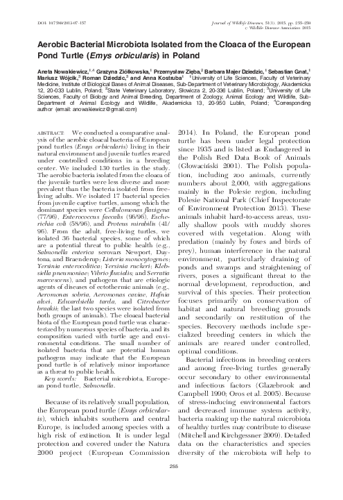 (PDF) Aerobic Bacterial Microbiota Isolated from the Cloaca of the ...