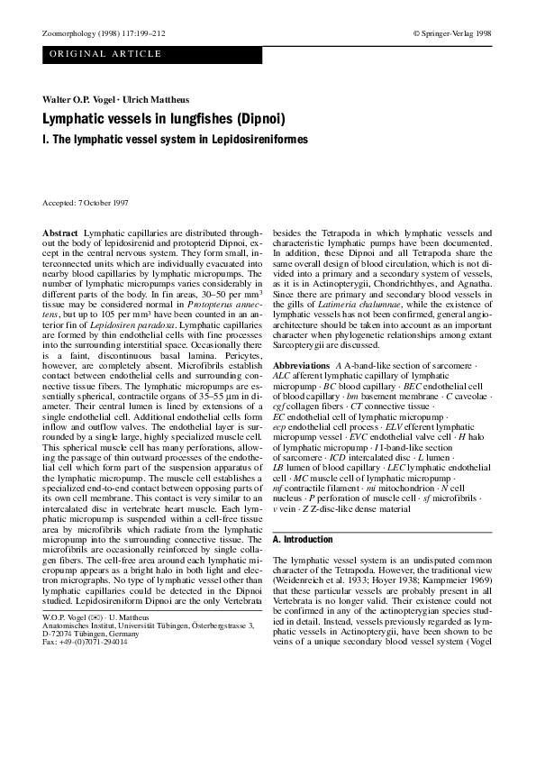 (PDF) Lymphatic vessels in lungfishes (Dipnoi)