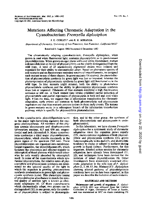 (PDF) Mutations affecting chromatic adaptation in the cyanobacterium ...