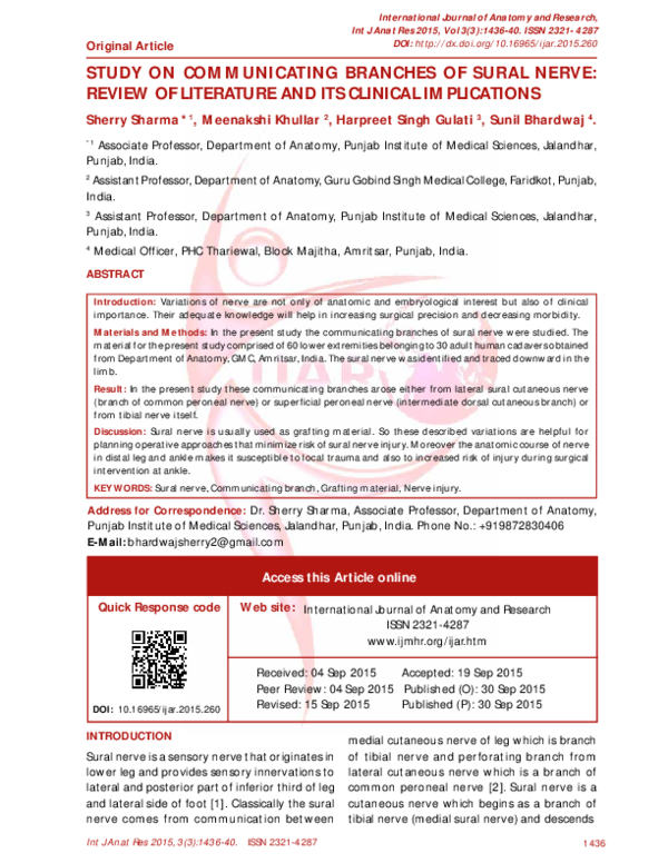 (PDF) Study on Communicating Branches of Sural Nerve: Review of ...