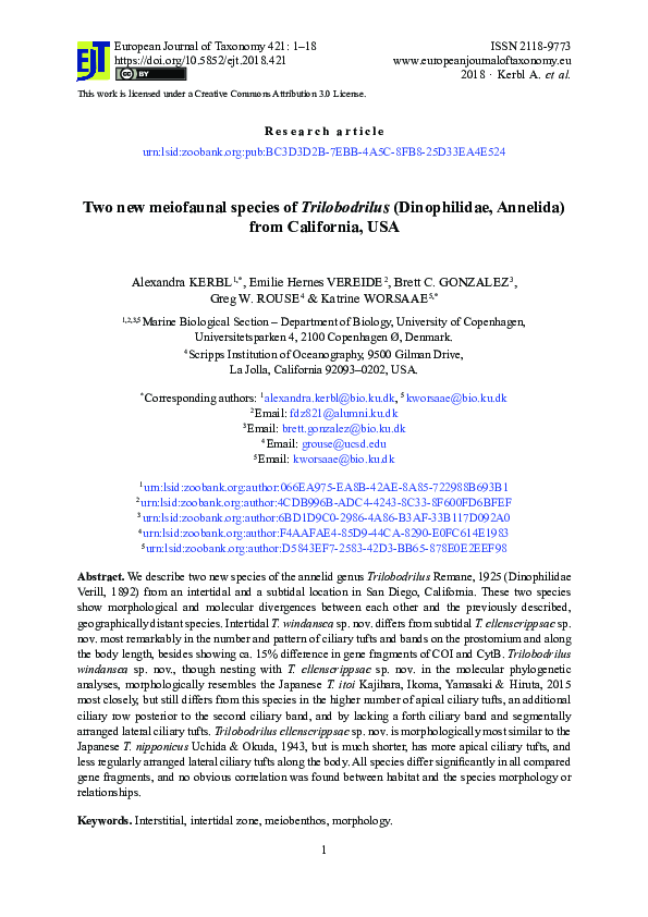 (PDF) Two new meiofaunal species of Trilobodrilus (Dinophilidae ...