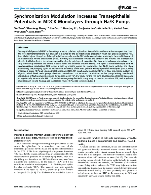 (PDF) Synchronization Modulation Increases Transepithelial Potentials ...
