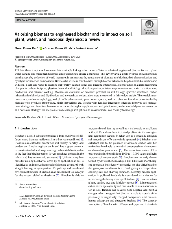 (PDF) Valorizing biomass to engineered biochar and its impact on soil, plant, water, and ...