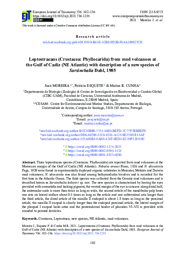 (PDF) Leptostracans (Crustacea: Phyllocarida) from mud volcanoes at the ...