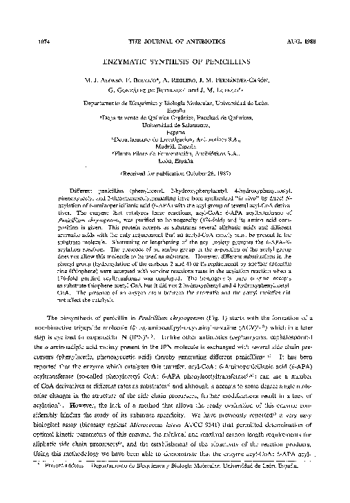 (PDF) Enzymatic synthesis of penicillins