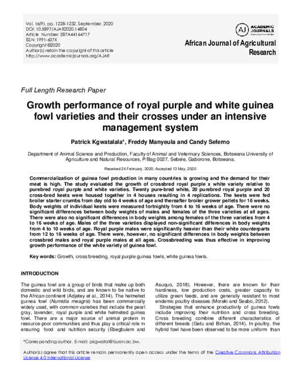 (PDF) Growth performance of royal purple and white guinea fowl ...