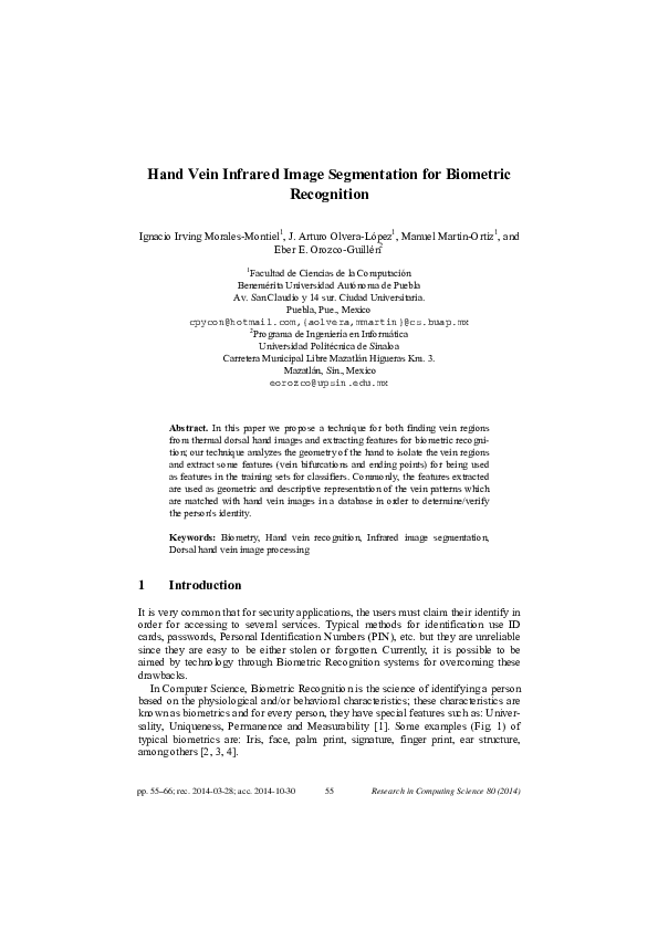 (PDF) Hand Vein Infrared Image Segmentation for Biometric Recognition