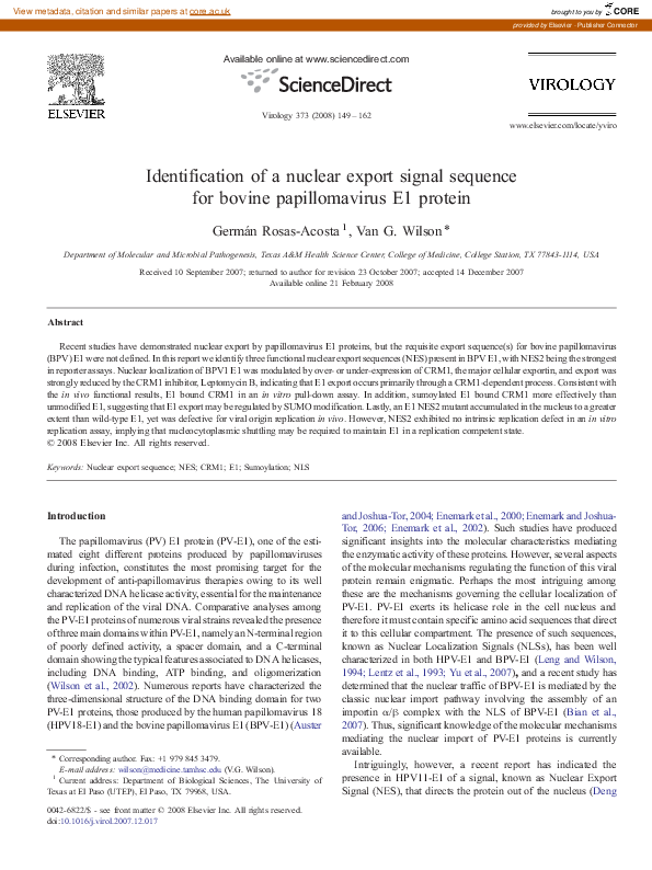 (PDF) Identification of a nuclear export signal sequence for bovine ...