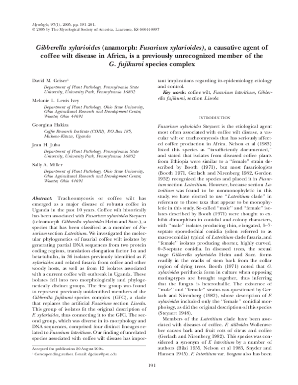 (PDF) Gibberella xylarioides (anamorph: Fusarium xylarioides), a ...
