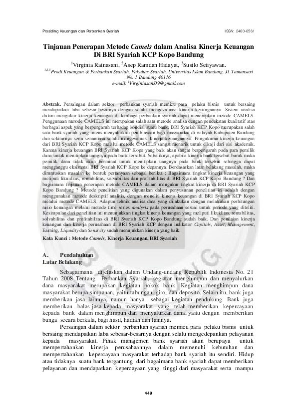 (PDF) The Overview of Camels Method Implementation in the Analysis of ...