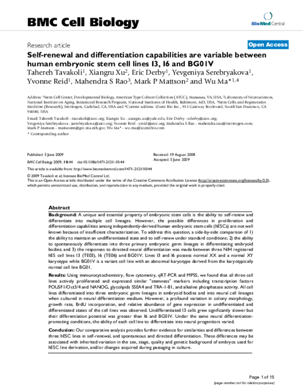 Self-renewal and differentiation capabilities are variable between ...