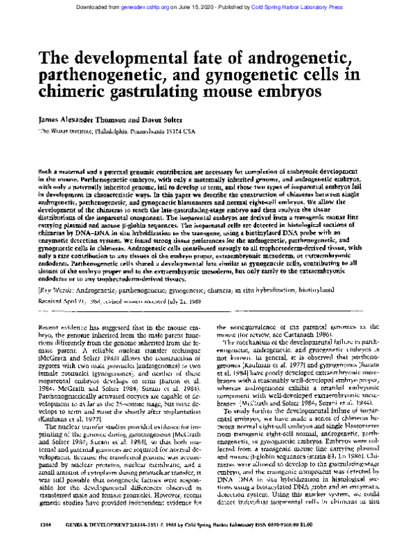 (PDF) The developmental fate of androgenetic, parthenogenetic, and ...