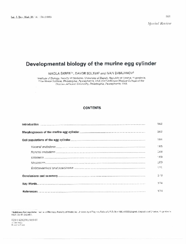 (PDF) Developmental biology of the murine egg cylinder