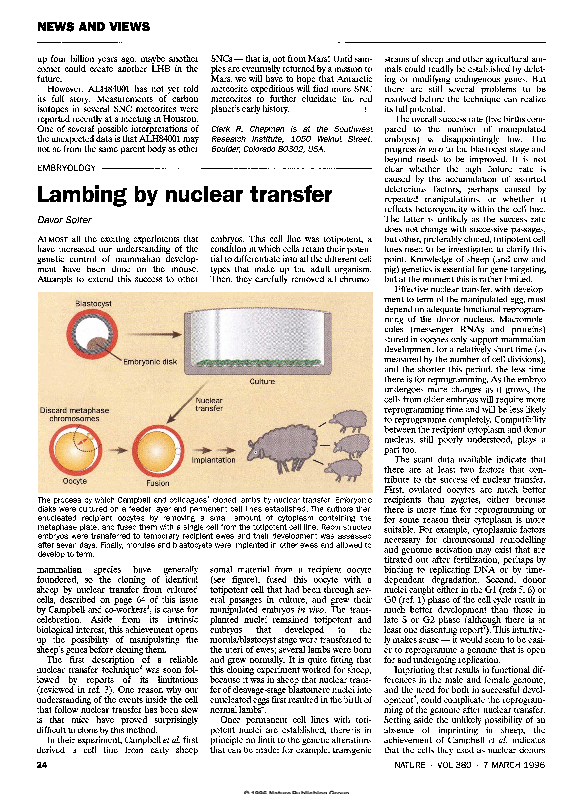 (PDF) Lambing by nuclear transfer