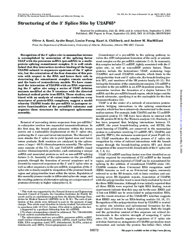(PDF) Structuring of the 3′ Splice Site by U2AF65