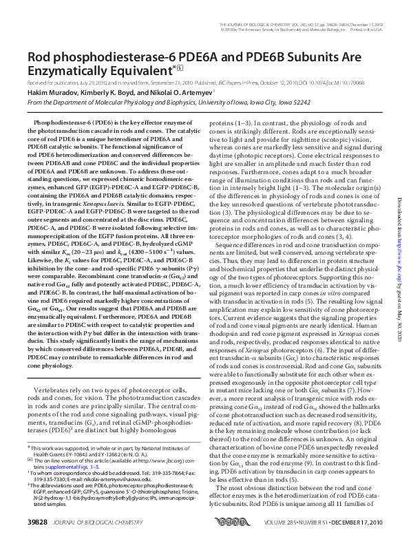 (PDF) Rod phosphodiesterase-6 PDE6A and PDE6B Subunits Are ...