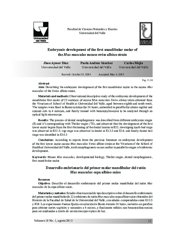 (PDF) Embryonic development of the first mandibular molar of the Mus ...