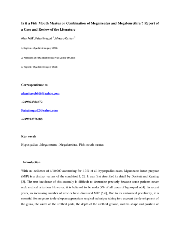 (PDF) Is it a Fish Mouth Meatus or Combination of Megameatus and ...