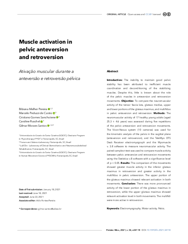 (PDF) Muscle activation in pelvic anteversion and retroversion | Gilmar ...