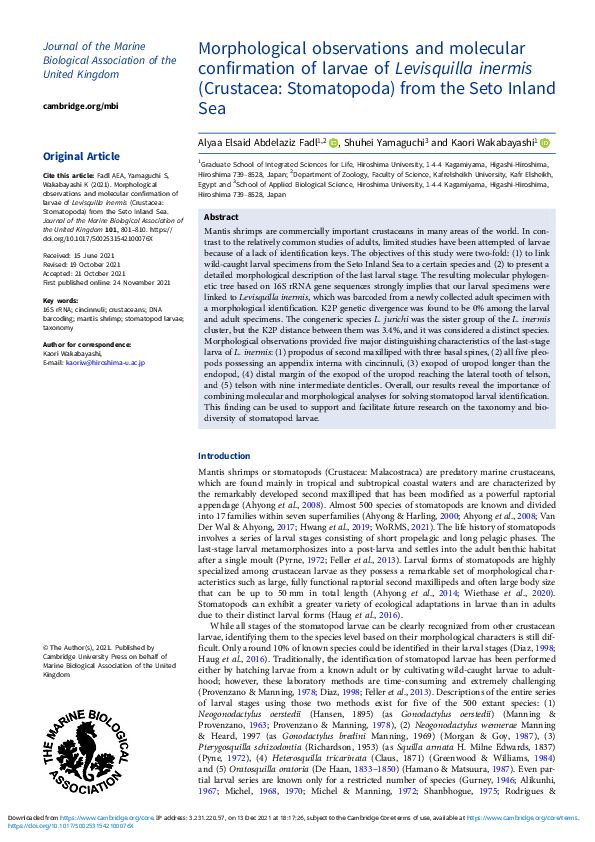 (PDF) Morphological observations and molecular confirmation of larvae ...