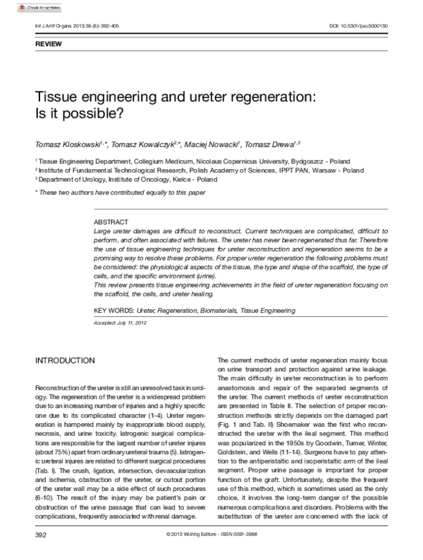 (PDF) Tissue Engineering and Ureter Regeneration: Is it Possible?