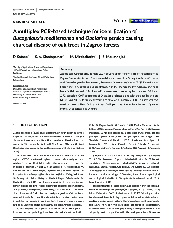 (PDF) A multiplex PCR-based technique for identification of ...