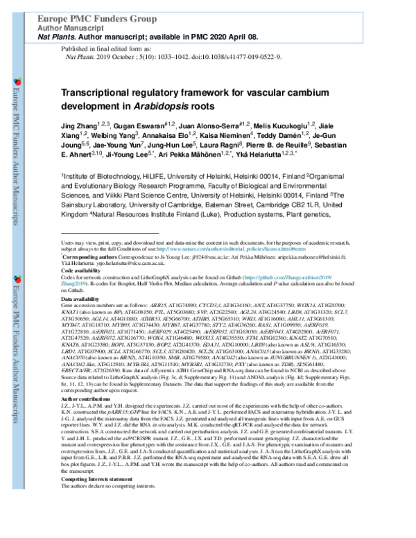 (PDF) Transcriptional regulatory framework for vascular cambium ...