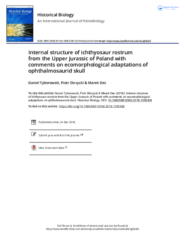 (PDF) Internal structure of ichthyosaur rostrum from the Upper Jurassic ...