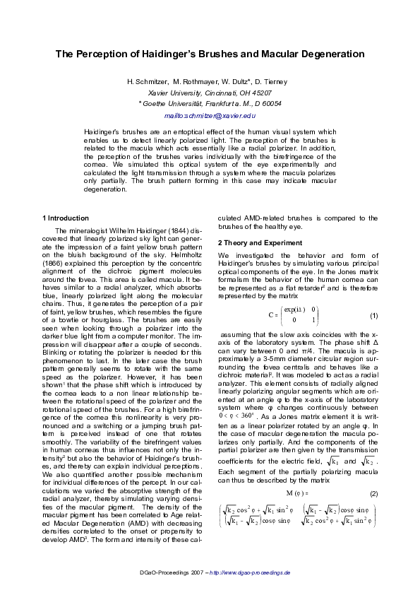 (PDF) The Perception of Haidinger's Brushes and Macular Degeneration