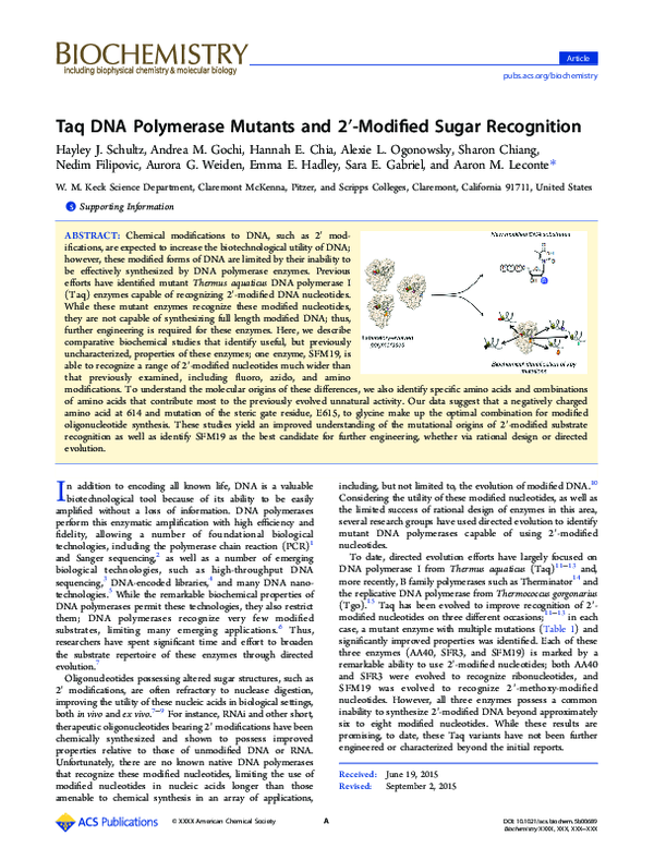 (PDF) Taq DNA Polymerase Mutants and 2′-Modified Sugar Recognition